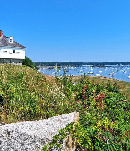 jaw dropping views maine FTR