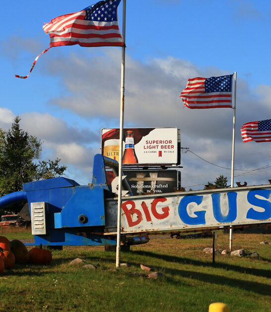 kitschy places michigan ftr