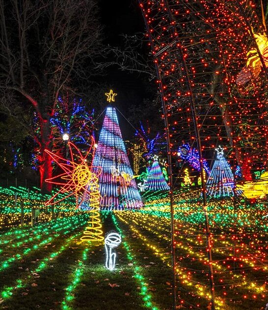 magical lights display illinois ftr