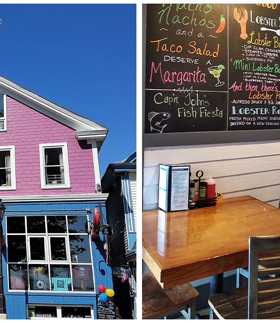 maine blueberry pie FTR