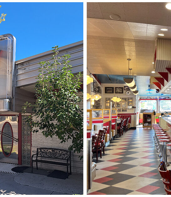 malts retro diner arizona ftr