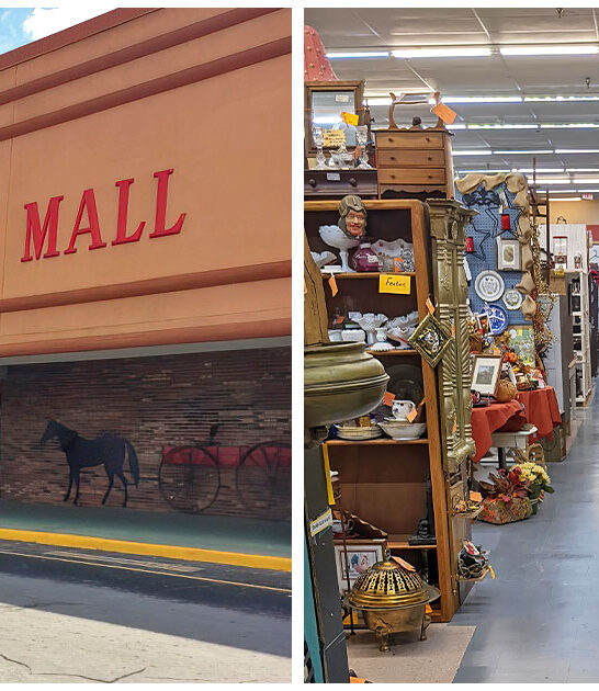 massive-antique-florida-store FTR