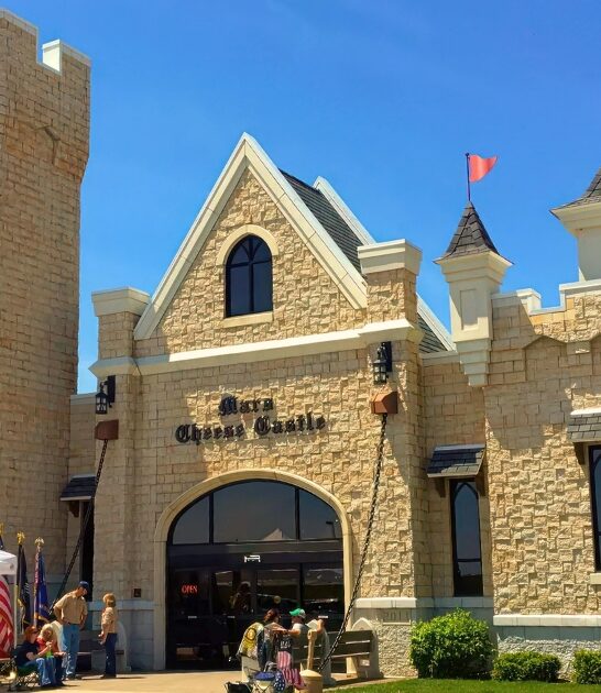 massive cheese shop wisconsin ftr