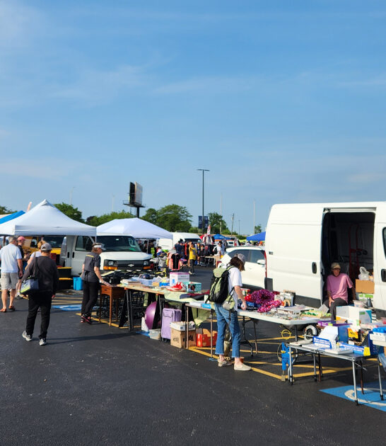 massive flea markets illinois ftr
