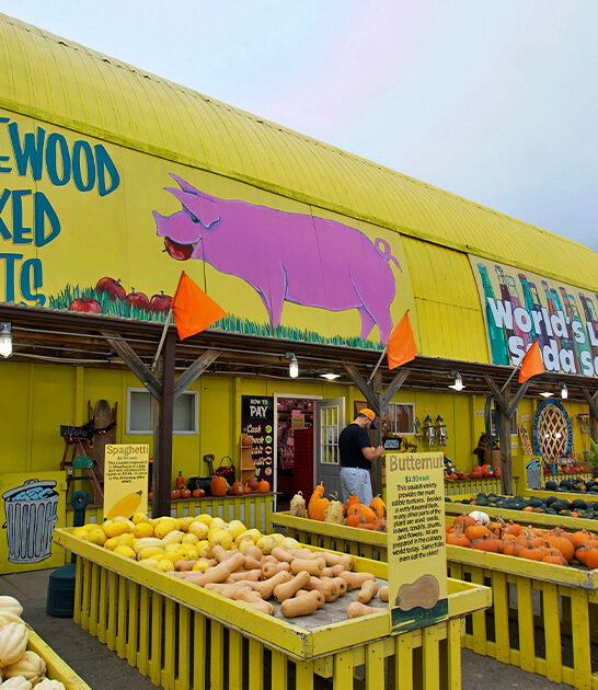 massive sweet shop minnesota ftr