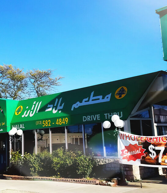 michigan best lentil soup ftr