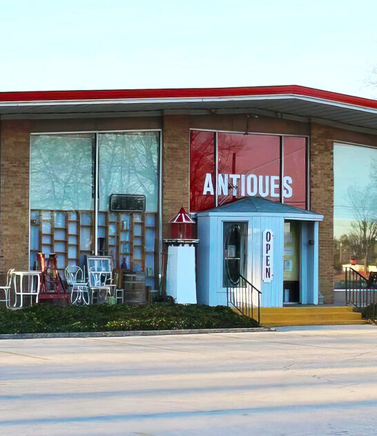 michigan dreamiest vintage wonderlands ftr