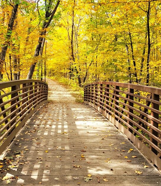 minnesota campgrounds fall colors ftr