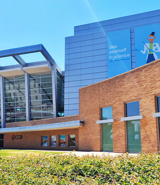 minnesota captivating interactive museums ftr