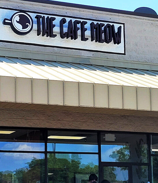 minnesota underrated cafe coffee ftr