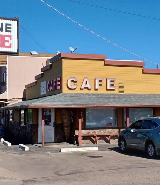 mom pop arizona diner ftr