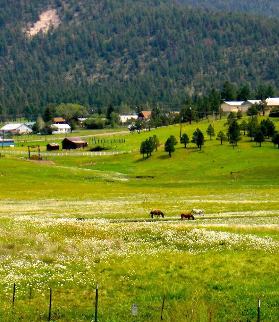 mountain village arizona ftr