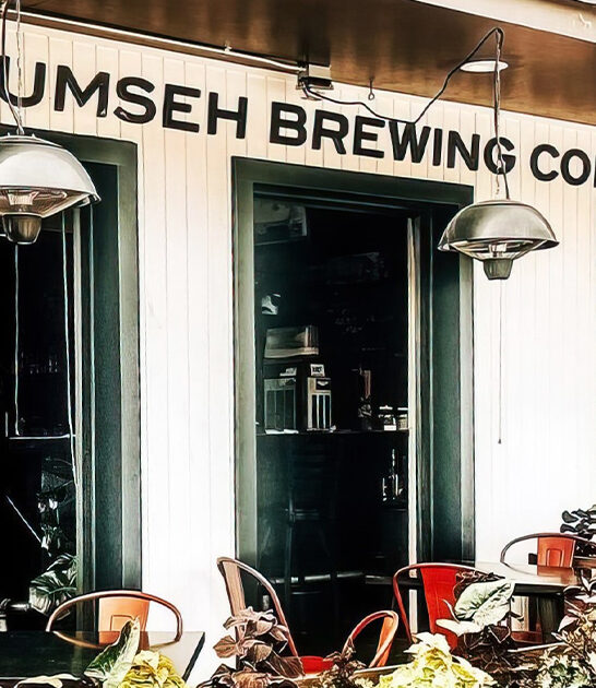 nachos michigan pub ftr