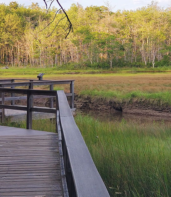nature road trip maine FTR