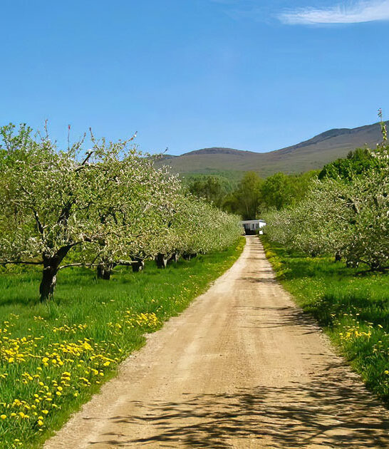 orchards vermont apples treats ftr