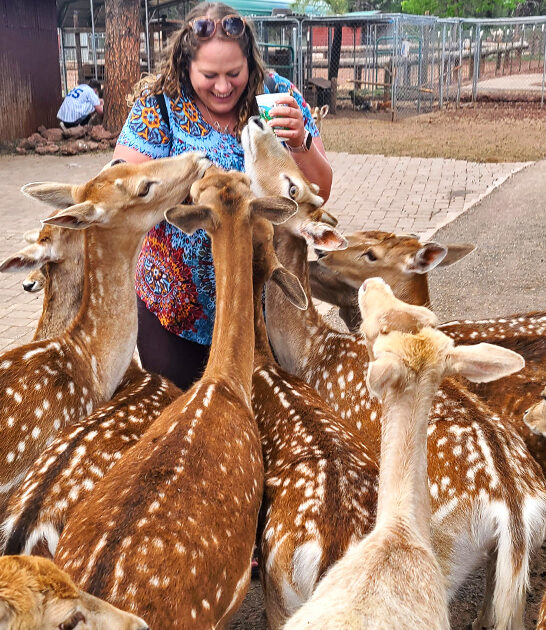 petting zoo arizona ftr