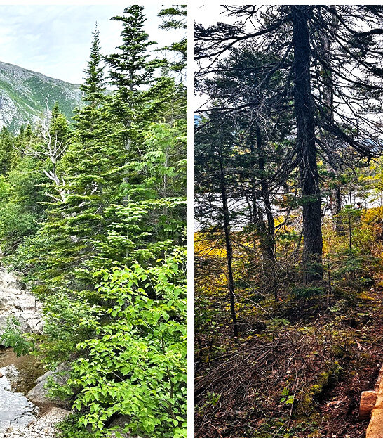 picturesque-hike-maine-ftr