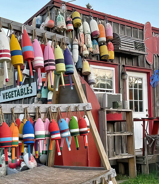 pint sized restaurant maine ftr