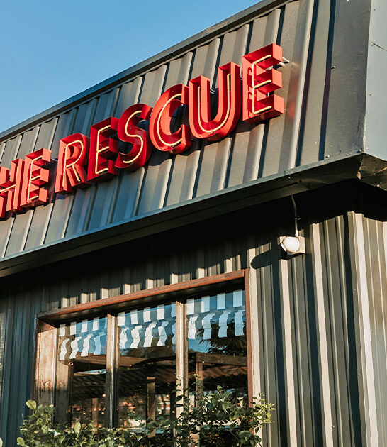 pizza joint puppies arizona ftr