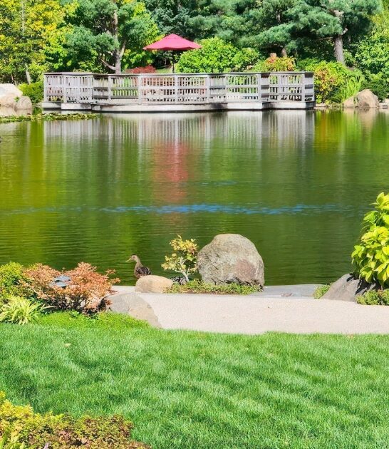postcard gardens illinois ftr