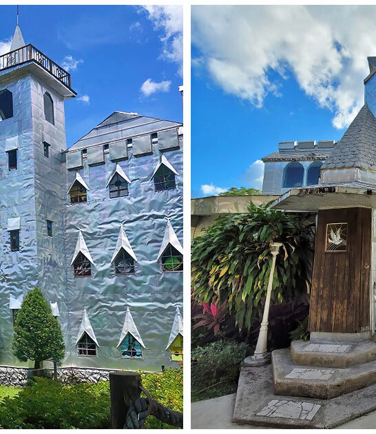 quirky-aluminum-castle-florida FTR