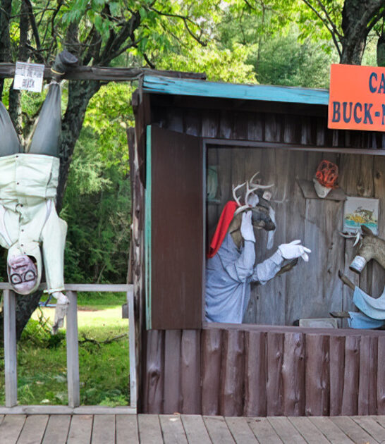 quirky attractions michigan ftr