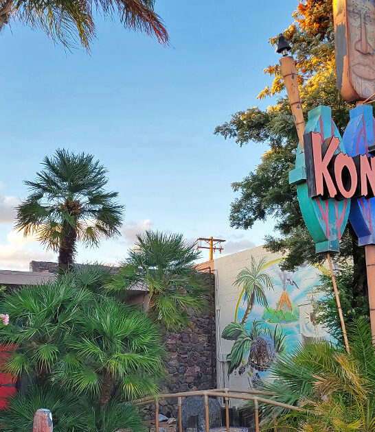 quirky bars arizona ftr