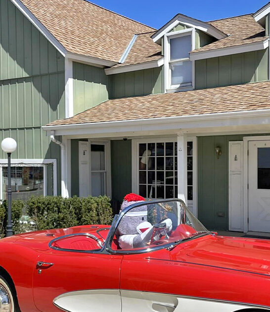 quirky museums illinois ftr