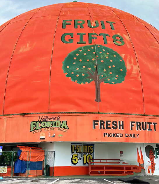 quirky shops florida ftr