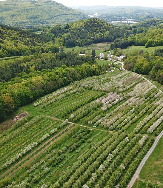road trip vermont orchards ftr