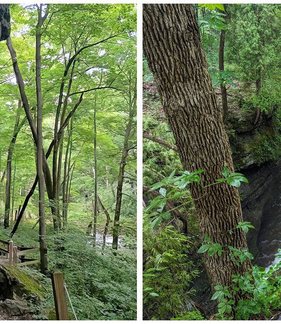 scenic ohio road trip ftr