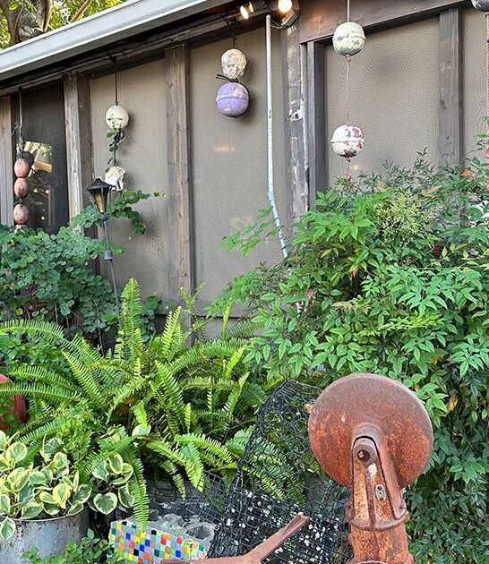 seafood joint florida jambalaya ftr