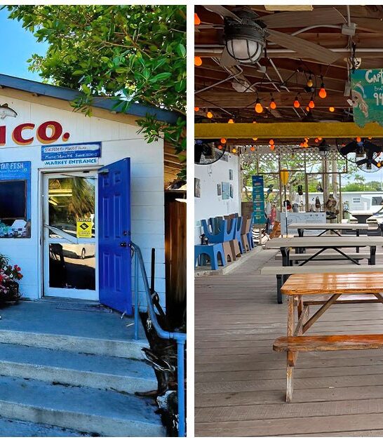 seafood-road-trip-florida-FTR