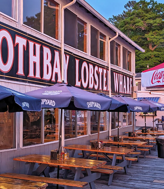 steamed lobsters maine ftr