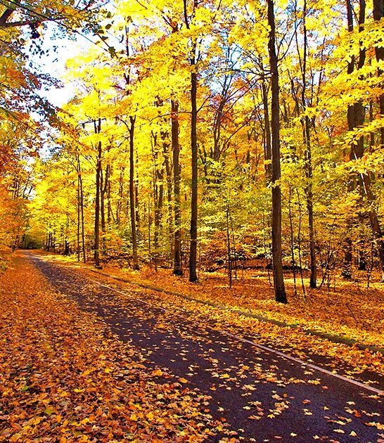 stunning drive michigan ftr