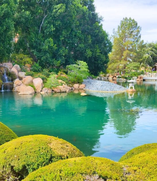 stunning garden arizona ftr