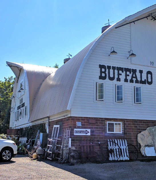 treasures antique store minnesota ftr