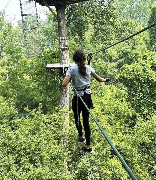 treetop rope courses illinois ftr