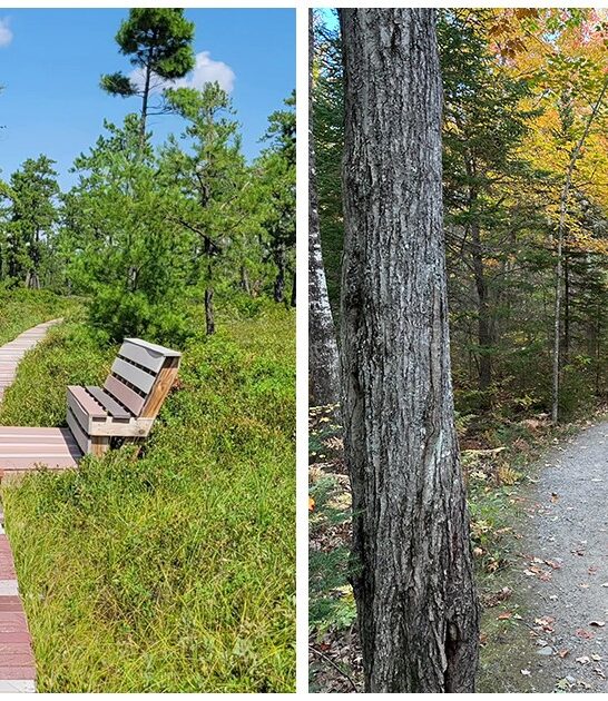 underrated natural wonders maine FTR