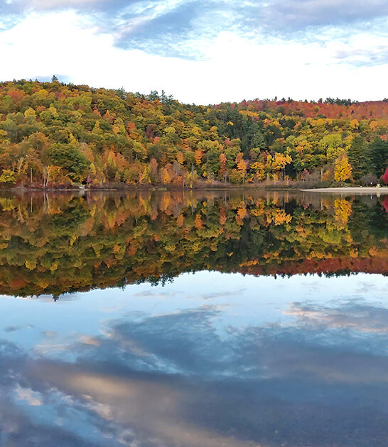 underrated park vermont ftr