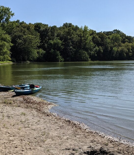 underrated parks minnesota ftr