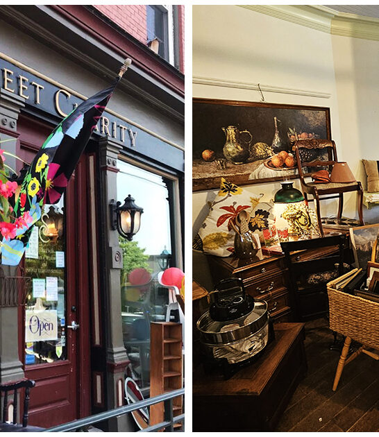 underrated-thrift-shop-vermont ftr