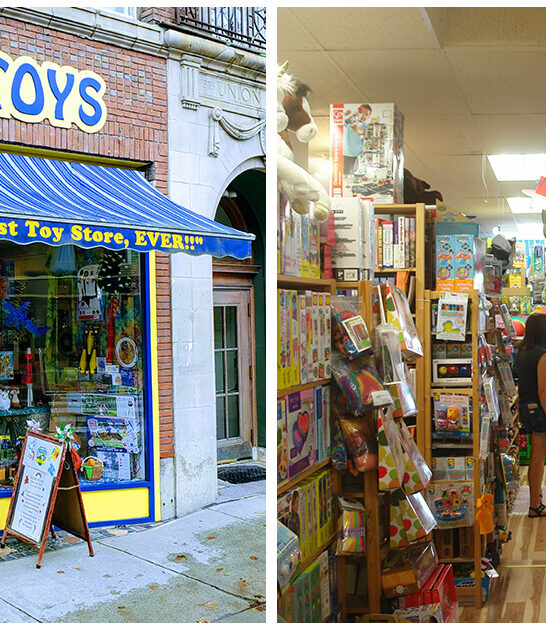 underrated toy store vermont ftr