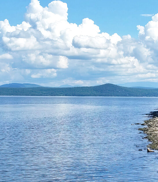 underrated vermont park ftr