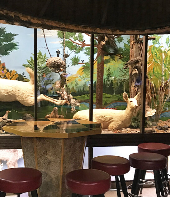 unexpected bar displays wisconsin ftr