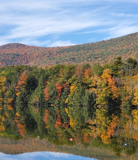 unknown park vermont ftr