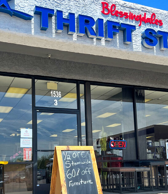 unknown thrift store arizona ftr