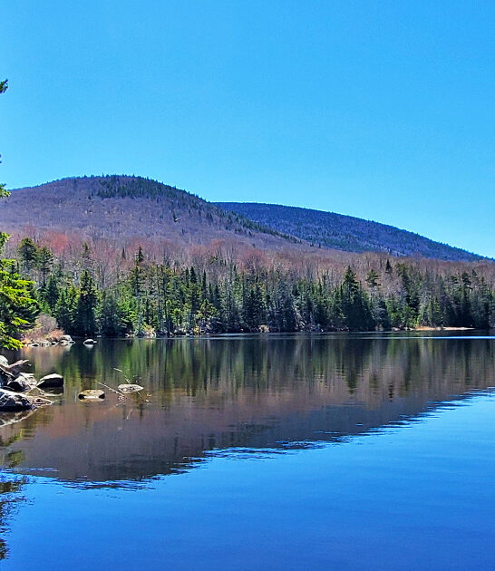 vermont little known park ftr