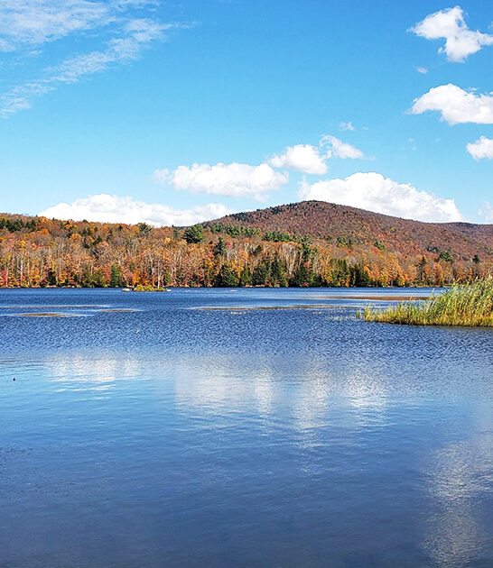 vermont postcard state park ftr