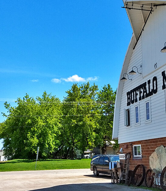 vintage treasure trove minnesota ftr